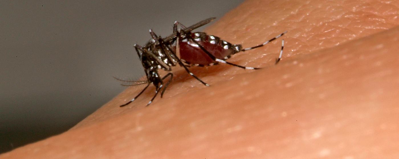 MOOC Medical entomology - Insect vectors and transmission of pathogens ...