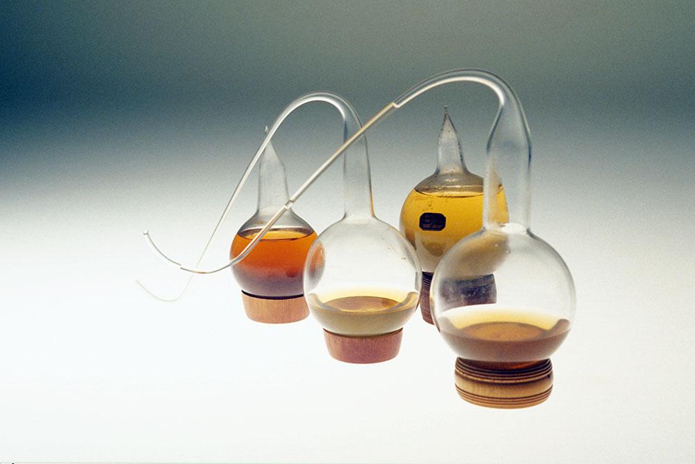 Les travaux de Louis Pasteur de 1862 à 1877 - Institut Pasteur