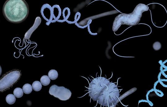 Biological Resource Center (CRBIP) | Institut Pasteur