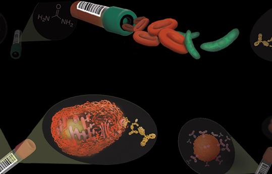 Biological Resource Center (CRBIP) | Institut Pasteur