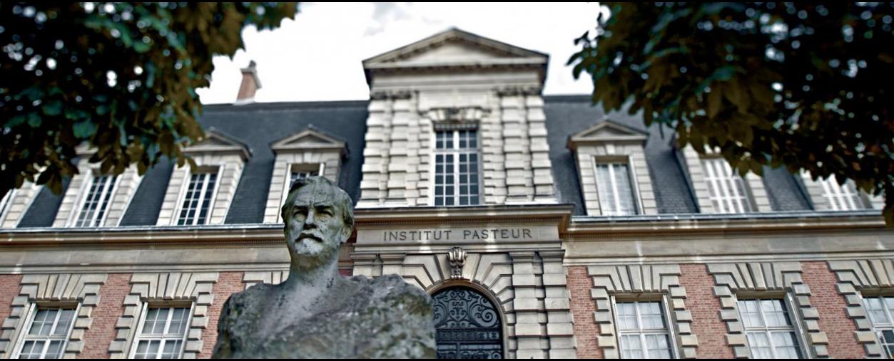 Institut Pasteur | For research, for health, for our future