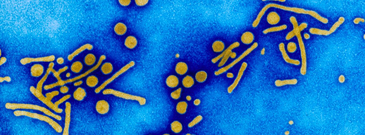 Viral hepatitis: symptoms, treatment, prevention - Institut Pasteur