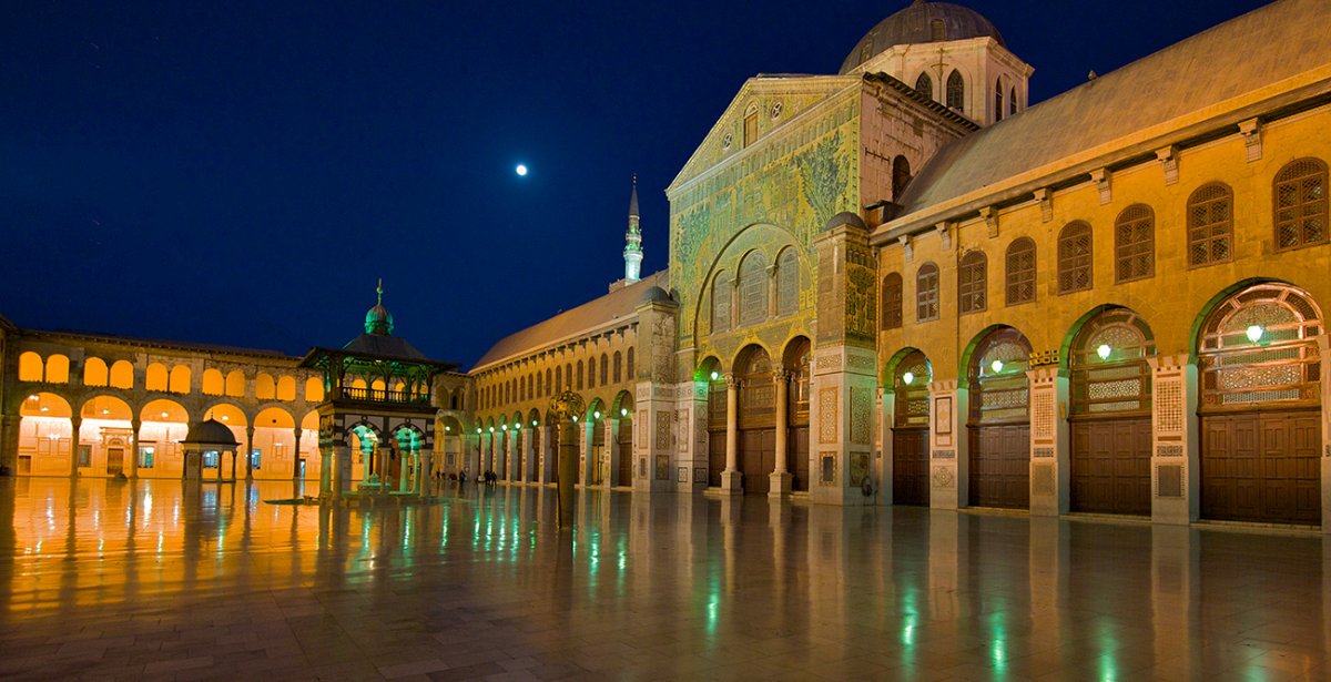 Partir en Syrie : informations et vaccins voyage - Institut Pasteur