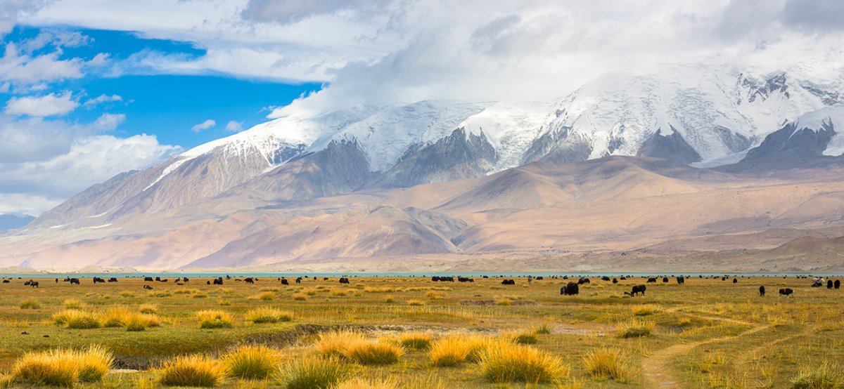 Partir au Tadjikistan : informations et vaccins voyage - Institut Pasteur