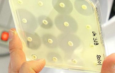 A new bacteria-killing weapon in the fight against antibiotic ...