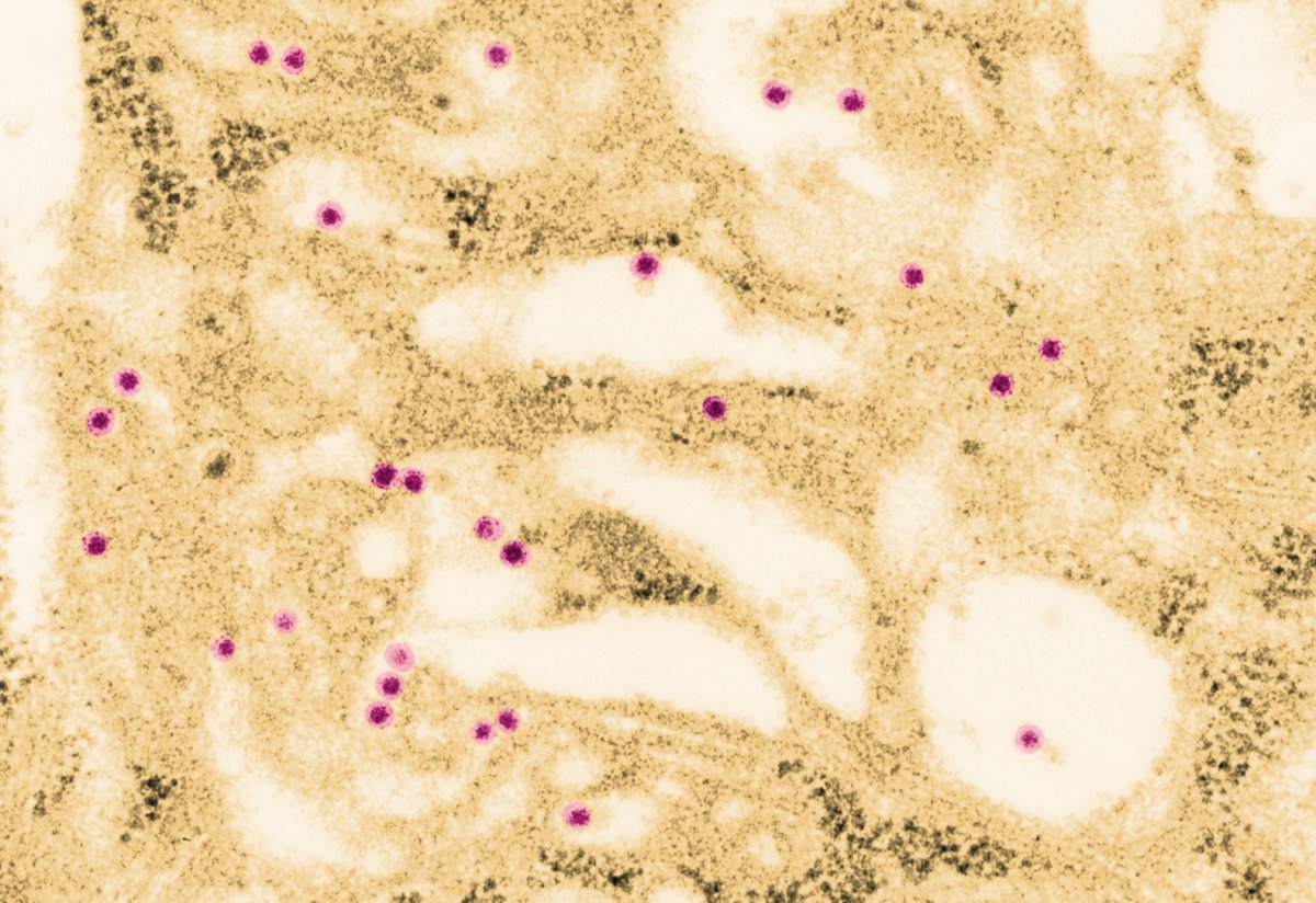 Département recherche Virologie - Institut Pasteur