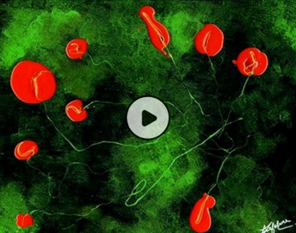 Mooc From neuron to behavior - Institut Pasteur/Cnam | Institut Pasteur